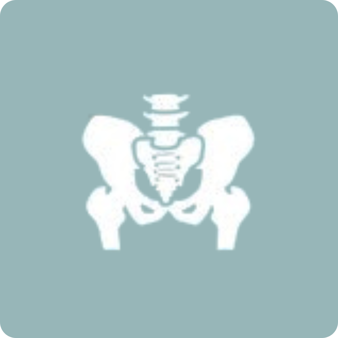 Orthopedic Surgery Center Puerto Vallarta | Dr. Francisco Del Toro